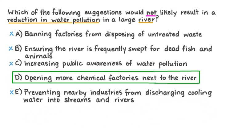 Lesson: Water Pollution | Nagwa