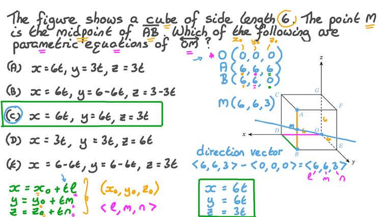 Lesson Playlist | Nagwa