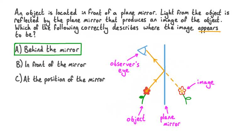 Lesson: Mirrors | Nagwa