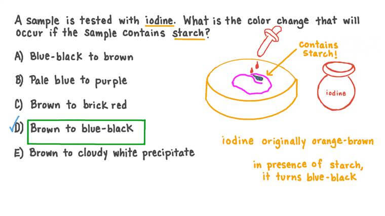 Lesson: The Chemistry of Food | Nagwa