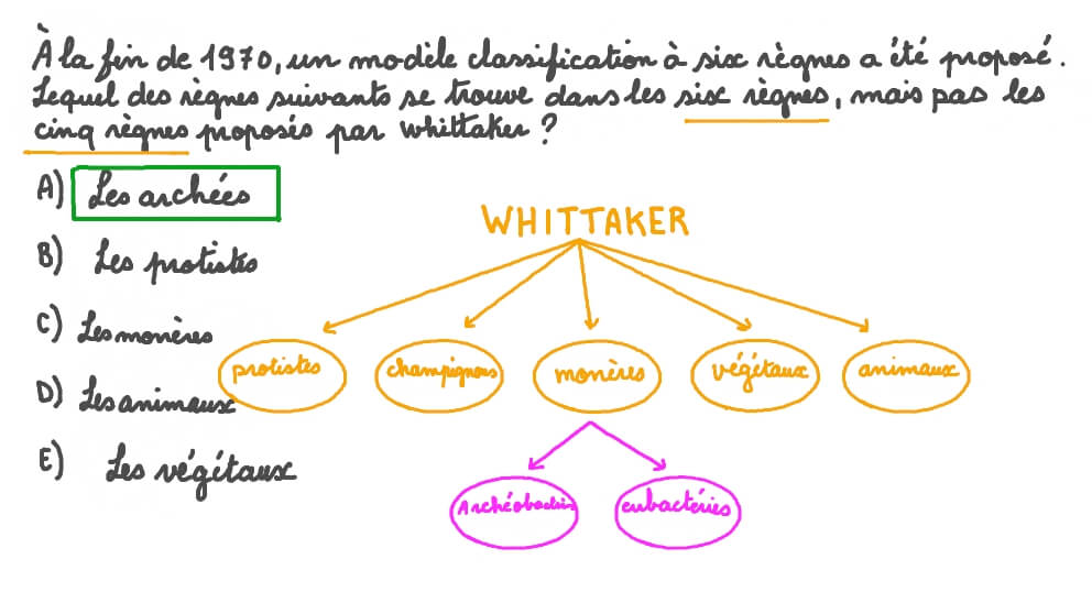 Question Video: Identifier le règne introduit dans le système de ...