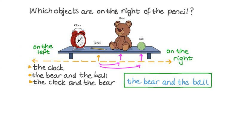 Lesson: “Left,” “Right,” “Next To,” and “Between” | Nagwa