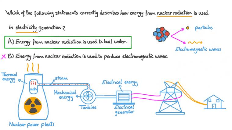 Lesson Playlist | Nagwa
