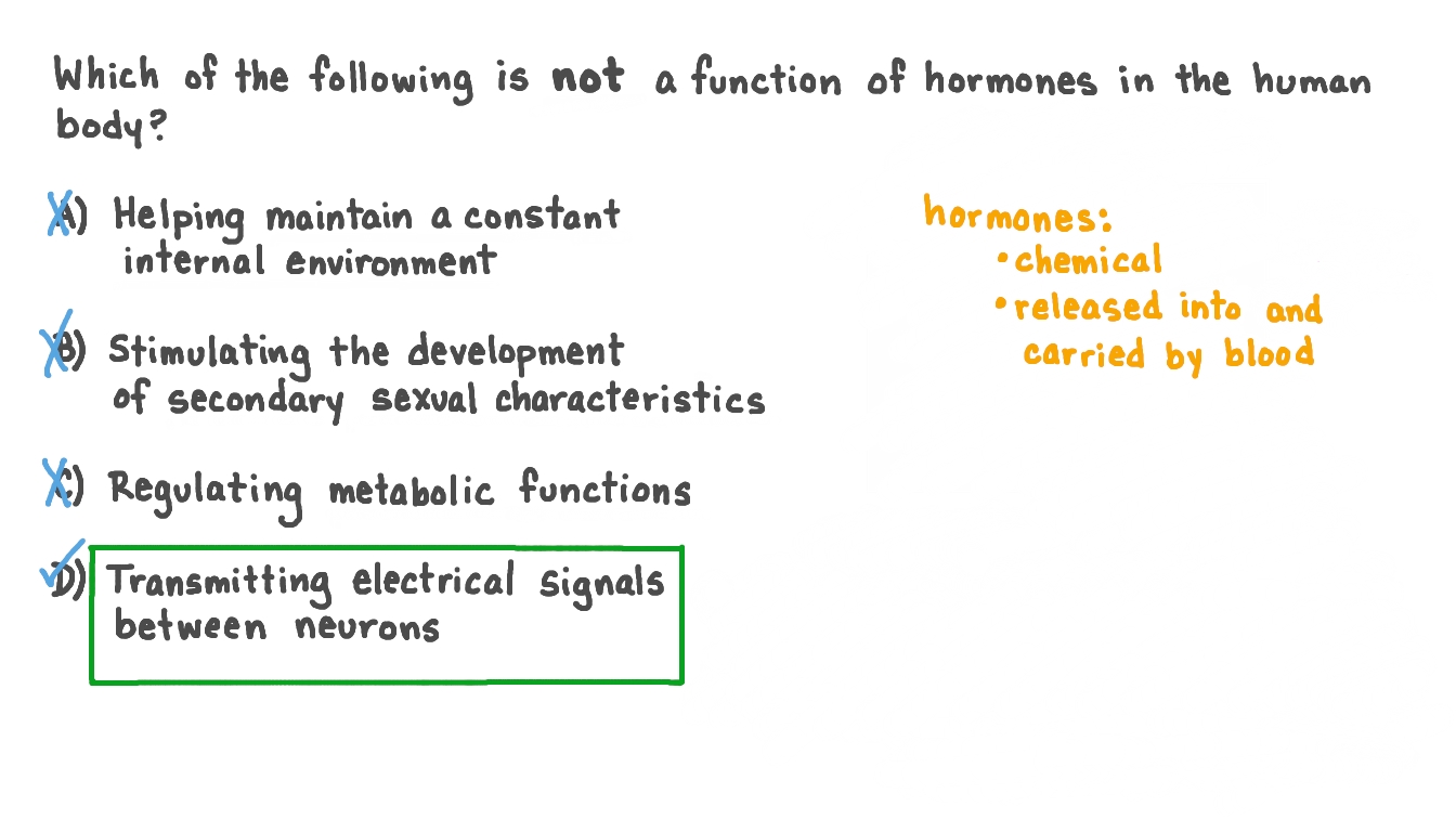 Question Video Identifying The Functions Of Hormones In The Human Body