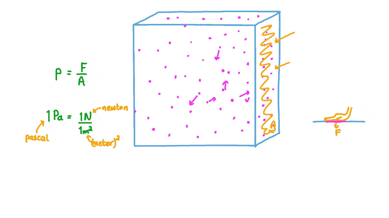 Question Video: Force and Pressure | Nagwa