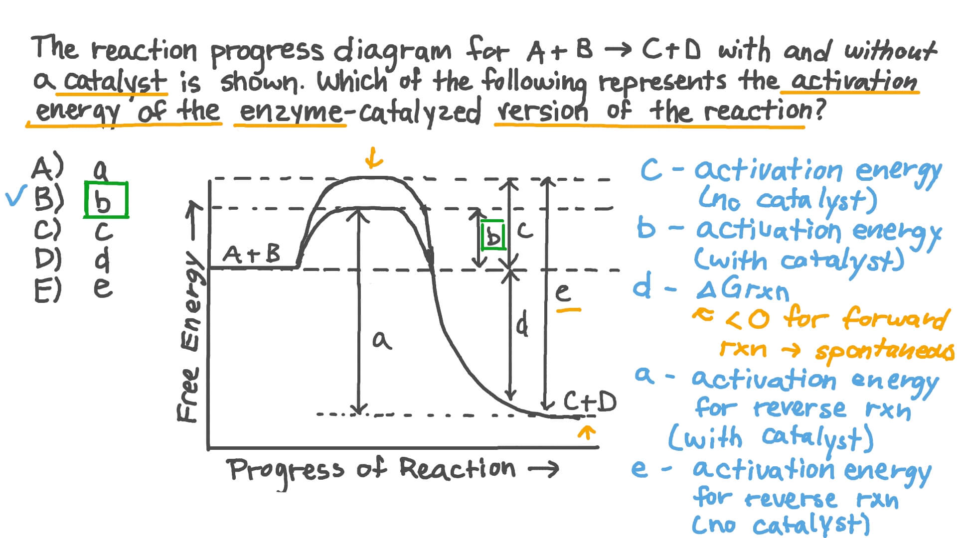 Video: Identifying the Annotation on a Reaction Progress Graph That ...