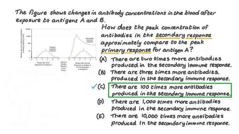 Lesson: Primary and Secondary Immune Responses | Nagwa