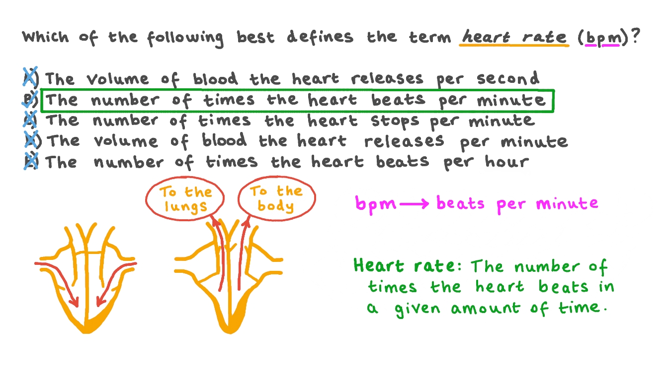 Question Video Defining The Term Heart Rate Nagwa