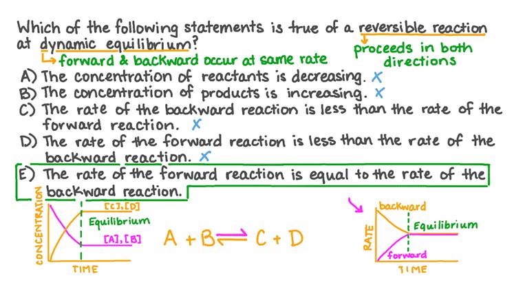 Lesson: Dynamic Equilibrium | Nagwa