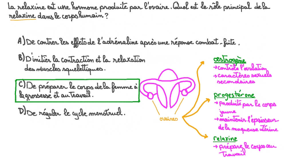 Question Video: Décrire la fonction de la relaxine | Nagwa