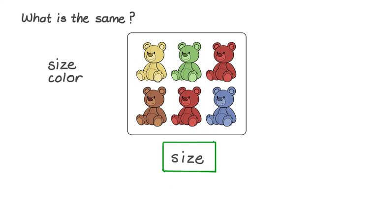 Lesson Playlist | Nagwa
