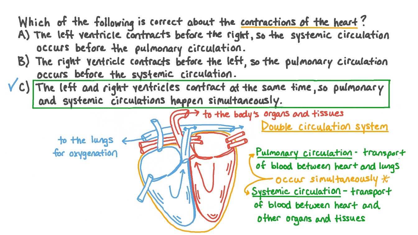 Question Video: Recalling that the Ventricles of the Heart Contract at ...