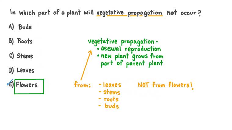 Lesson Playlist | Nagwa