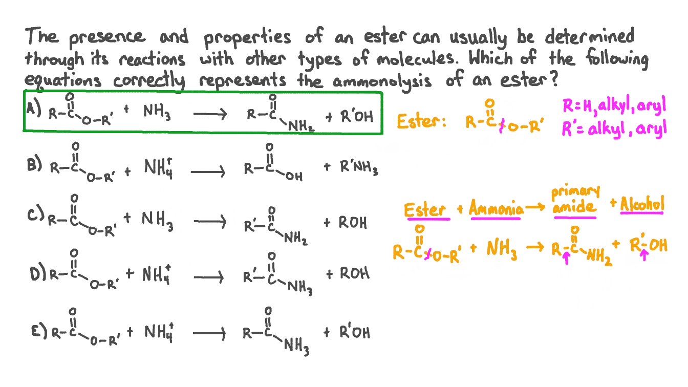 Question Video: Identifying an Ester Ammonolysis Reaction | Nagwa