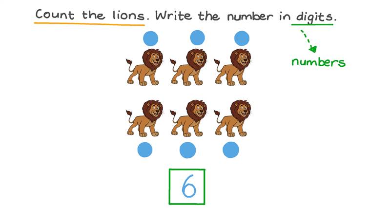 Lesson Playlist | Nagwa