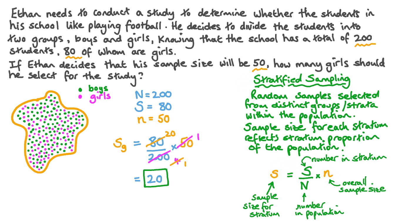 Question Video Calculate The Sample Size Of A Stratum Given The Sample