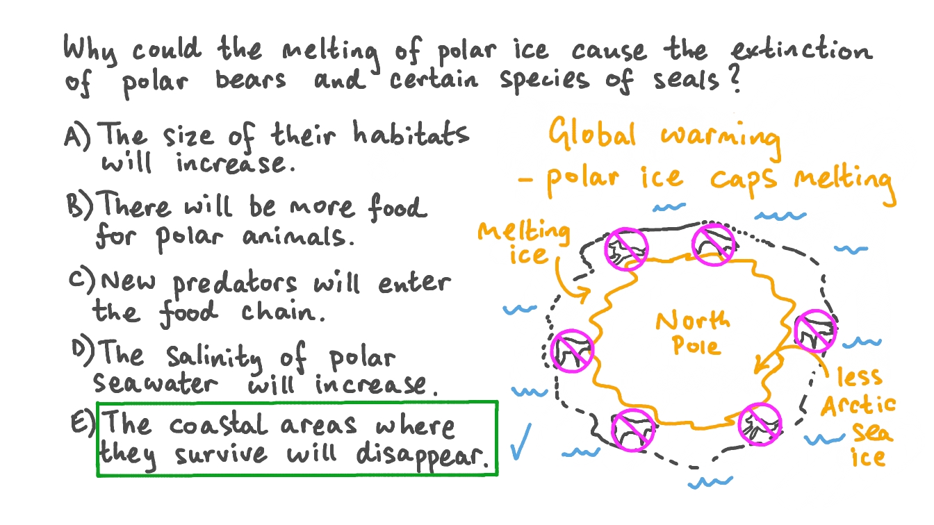 Question Video: Identifying Why the Melting of Polar Ice Could Lead to ...
