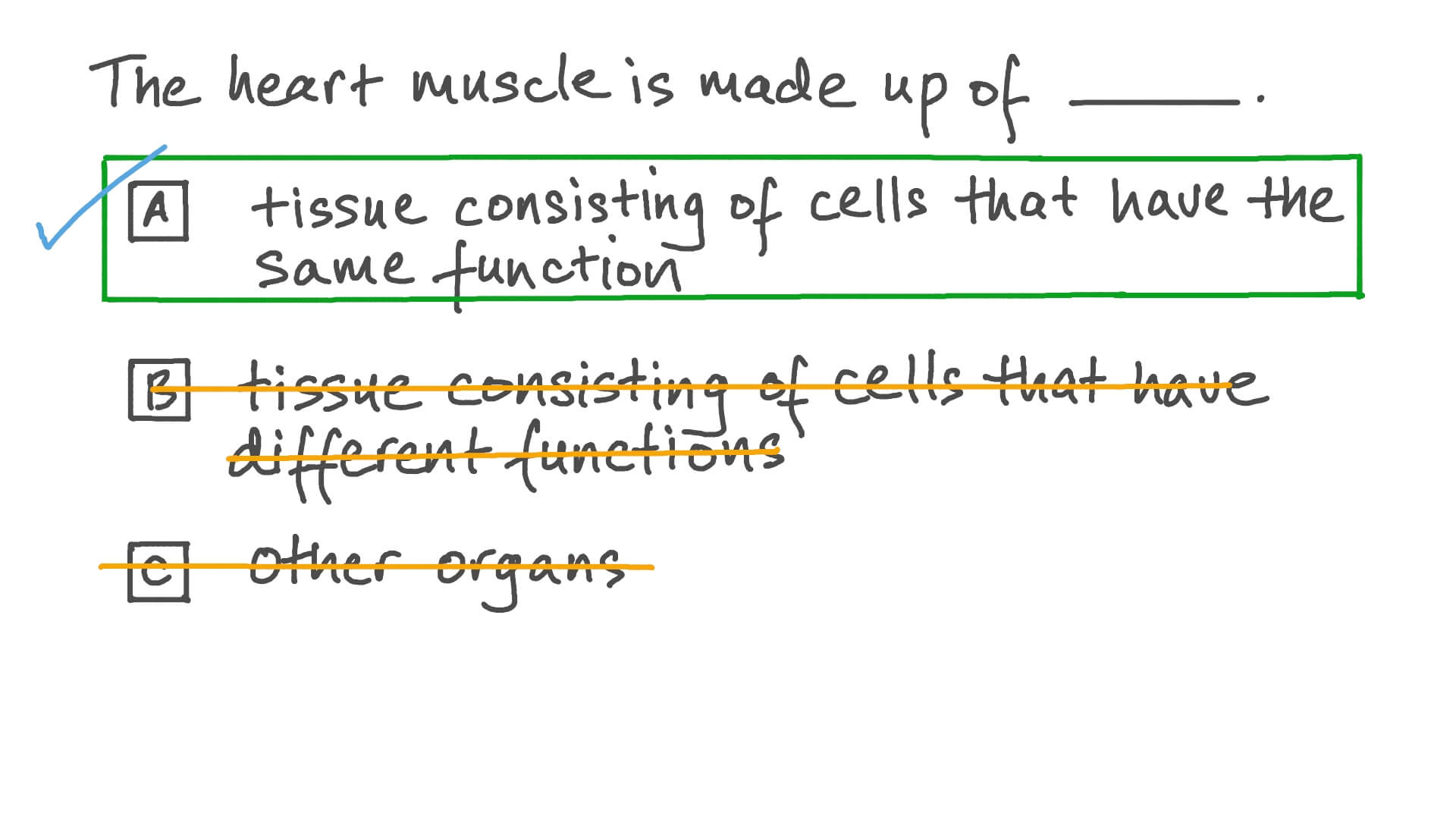 Question Video: Understanding Cells- Tissues- and Organs | Nagwa