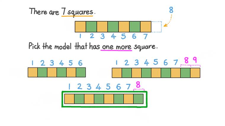 Lesson Playlist | Nagwa