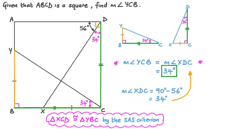 Lesson Playlist | Nagwa