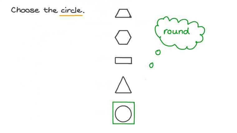 Lesson: Circles | Nagwa