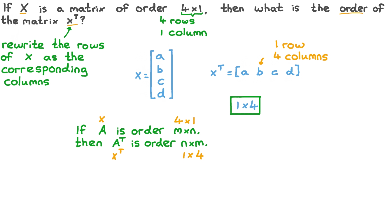 ion Video Finding The Order Of A Matrix Transpose Nagwa