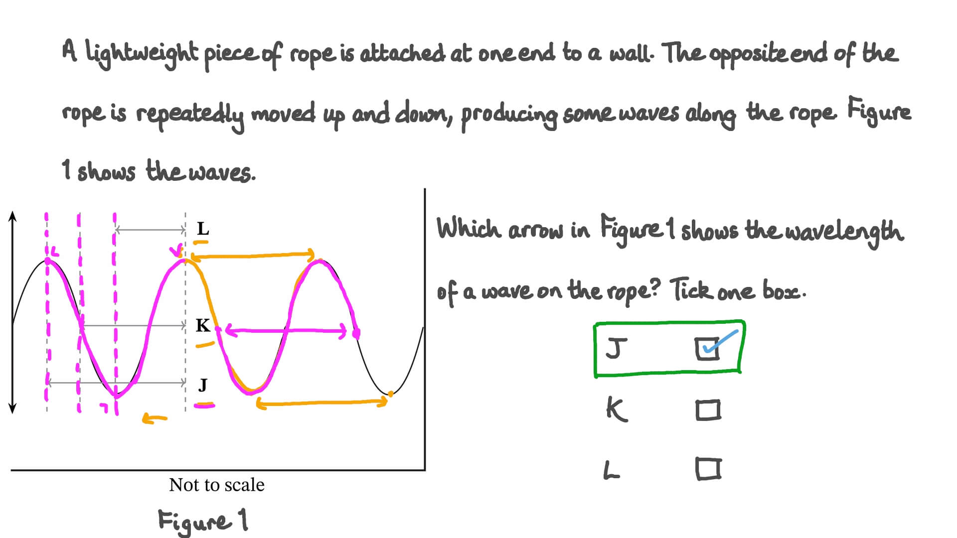 Video: Measuring Transverse Mechanical Wave Motion | Nagwa
