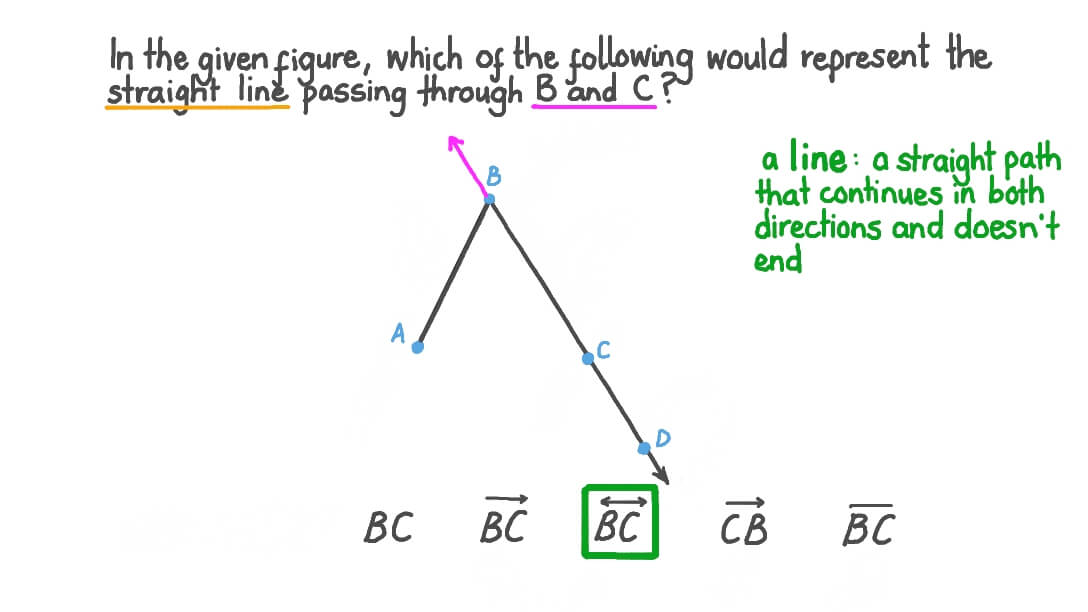 Question Video: Understanding Straight Lines | Nagwa