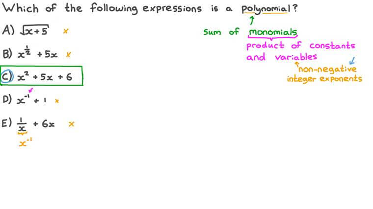 Lesson: Degree and Coefficient of Polynomials | Nagwa