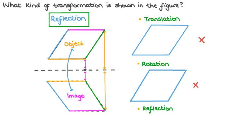 Lesson Playlist | Nagwa