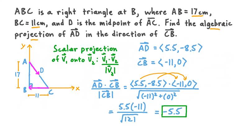 Lesson Playlist | Nagwa