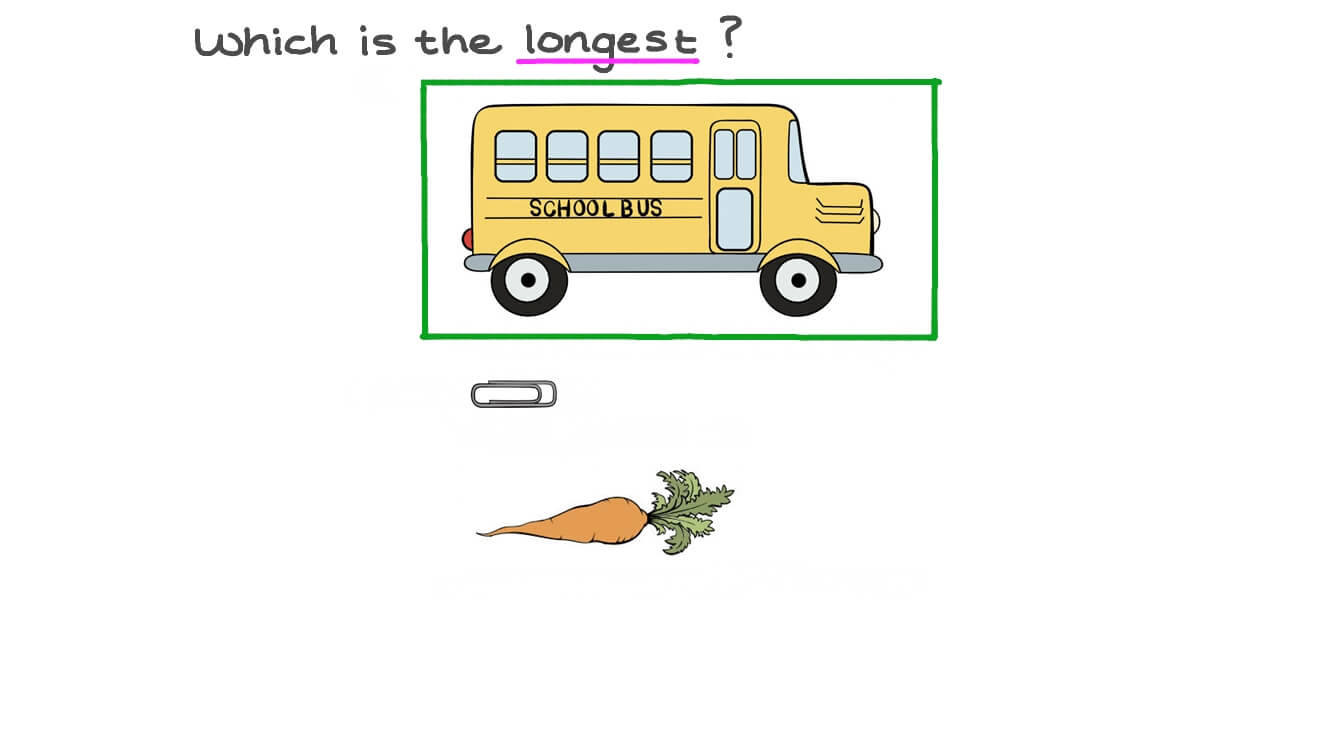 Question Video: Identifying Which Object Is the Longest or Shortest | Nagwa