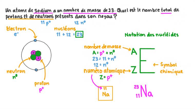 Leçon: Numéros atomiques et nombres de masse | Nagwa