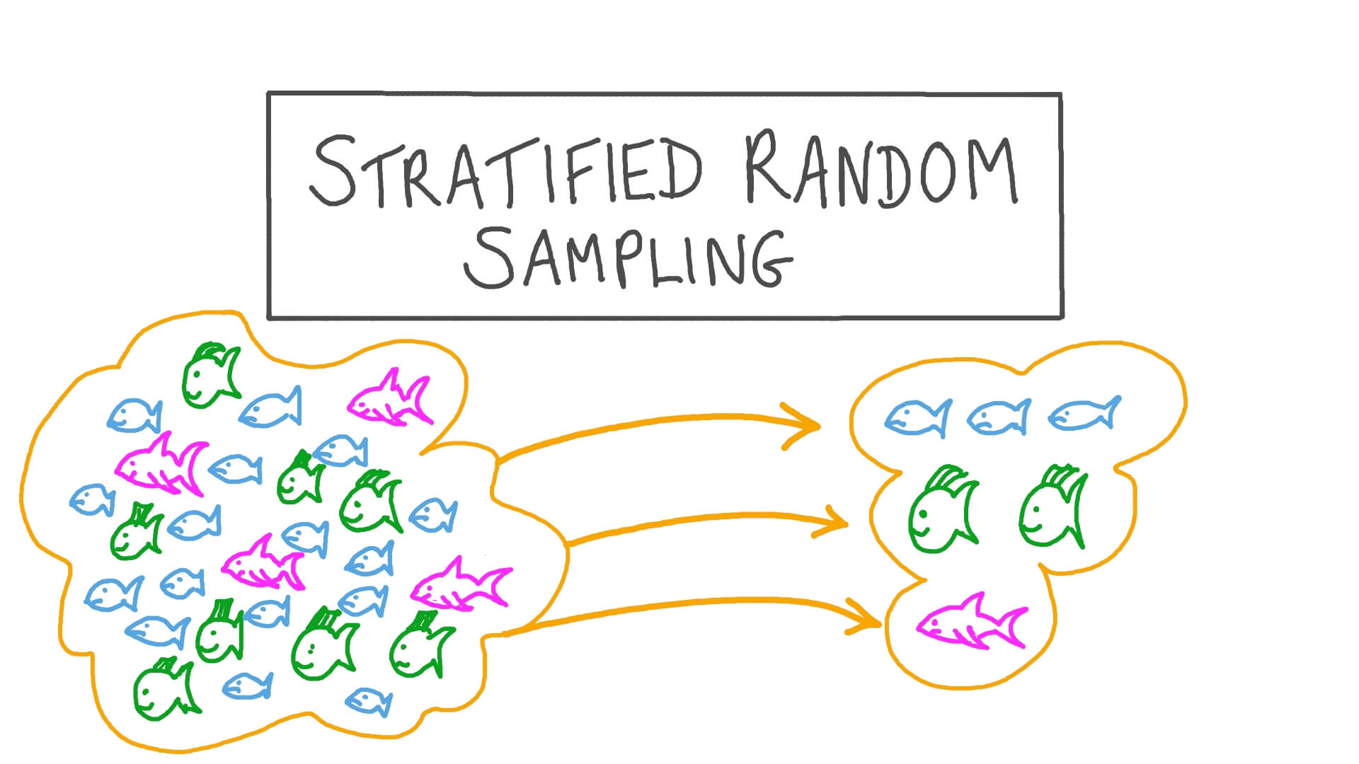 Lesson Stratified Random Sampling Nagwa