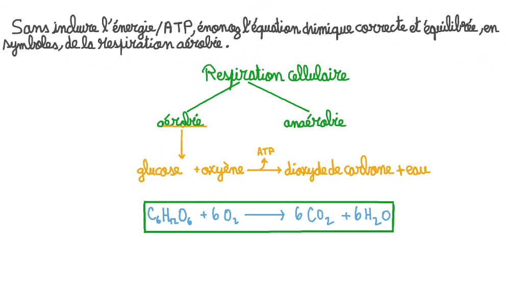Question Video: Énoncer l'équation chimique équilibrée de la ...