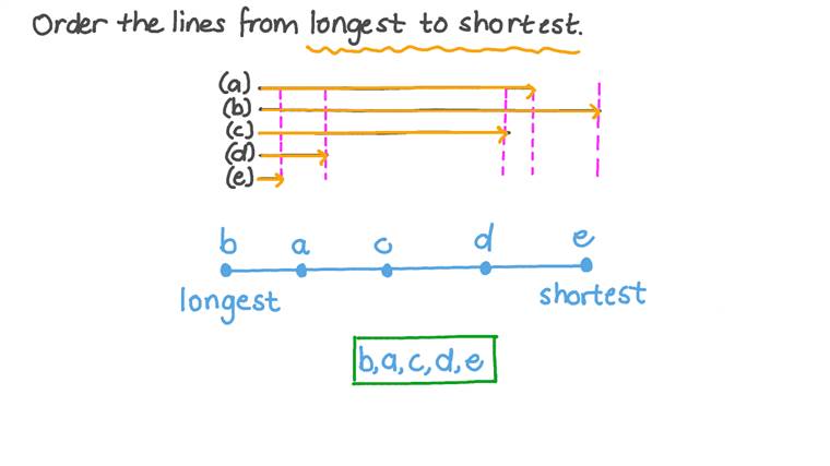 Lesson: Ordering: Tallest, Longest, and Shortest | Nagwa