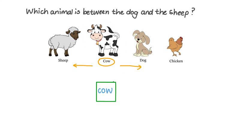 Lesson: “Left,” “Right,” “Next To,” and “Between” | Nagwa