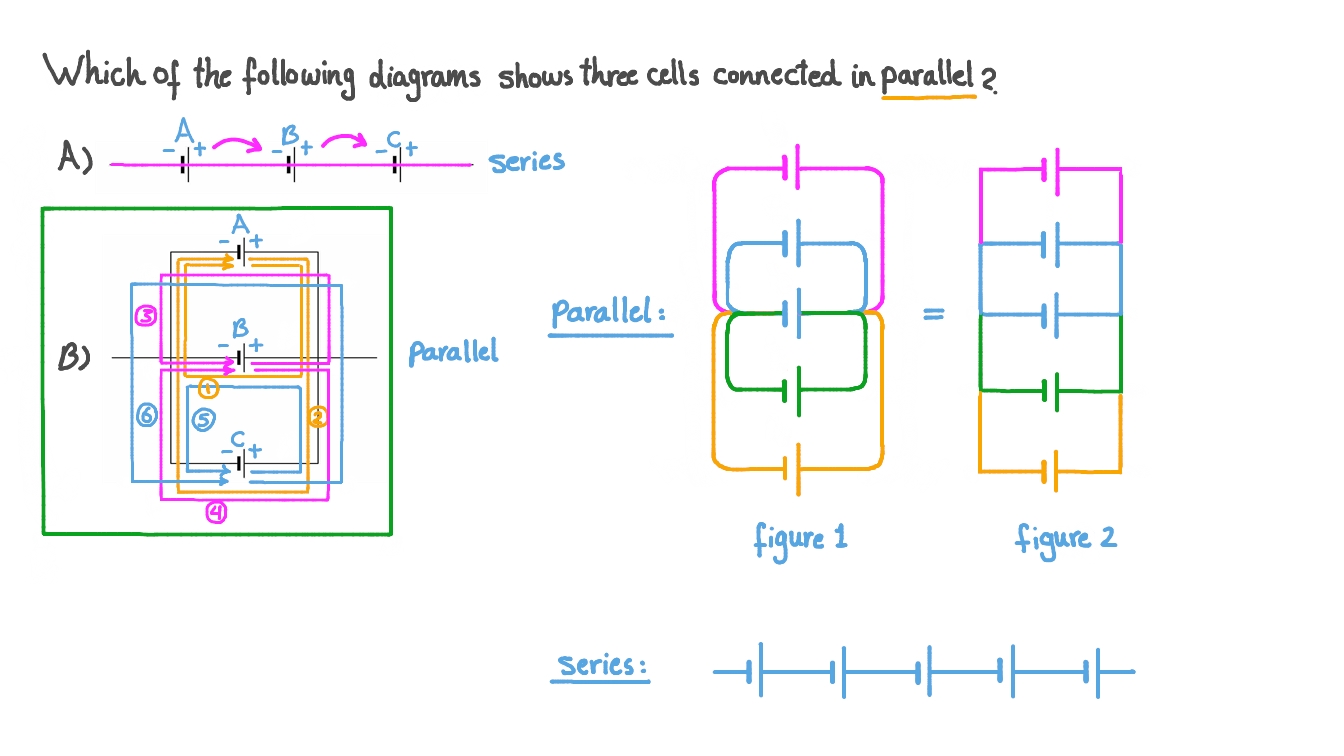 Question Video: Recognizing Cells Connected in Parallel | Nagwa