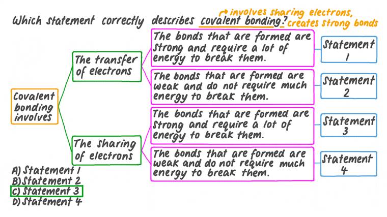 Lesson Playlist | Nagwa