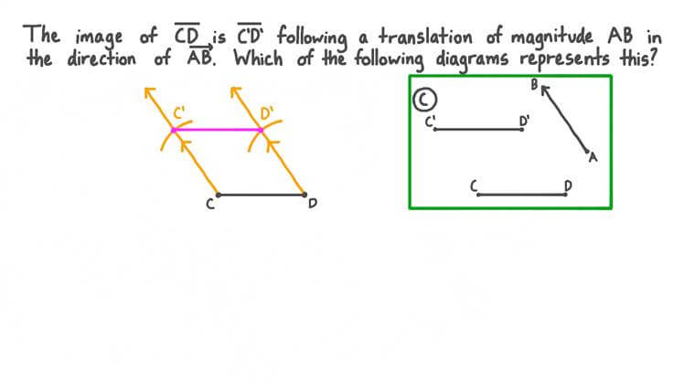 Lesson Playlist | Nagwa