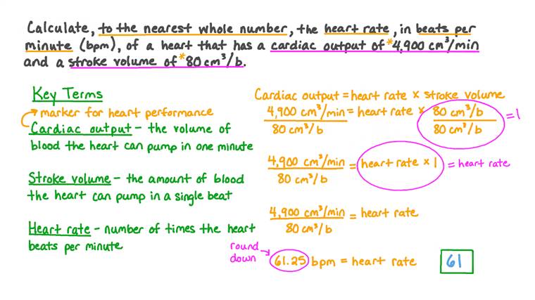 Cardiac Output Calculation Solved Questions 171 173 Cardiac Output,