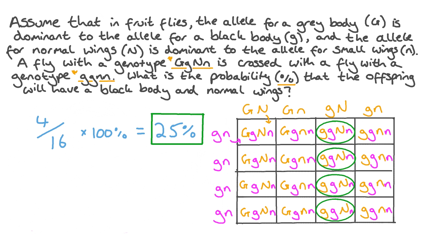 Question Video Calculating The Probability As A Percent Of A
