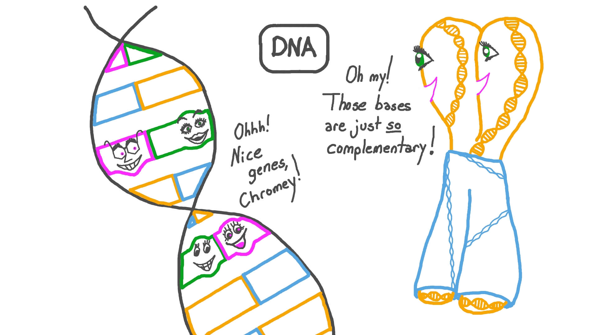 Lesson: DNA | Nagwa