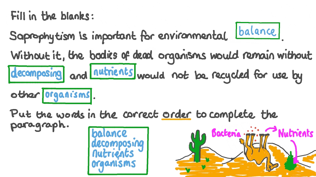 Question Video: Identifying Environmental Effects of Saprophytism | Nagwa