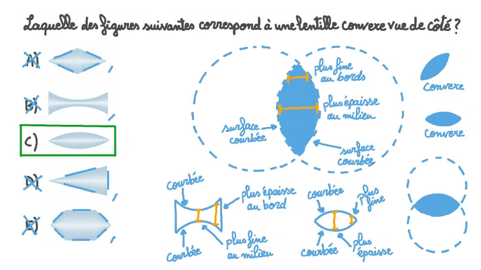 Question Video: Identifier une lentille convexe vue de côté | Nagwa