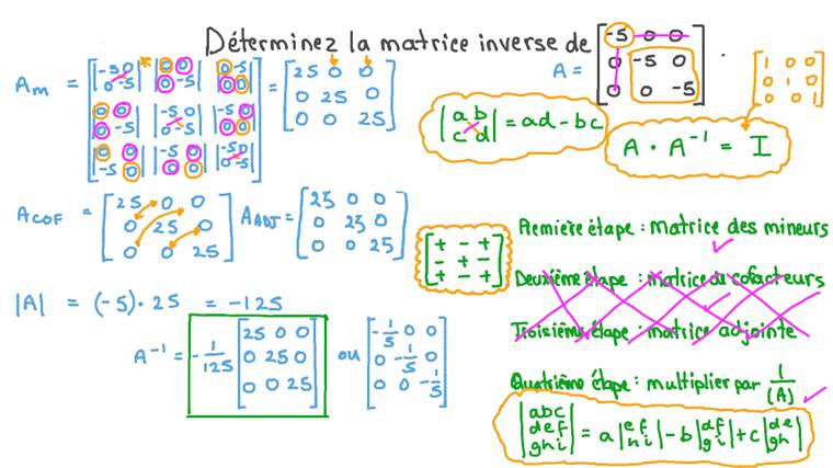 Leçon : Matrice inverse : méthode de l’adjointe | Nagwa