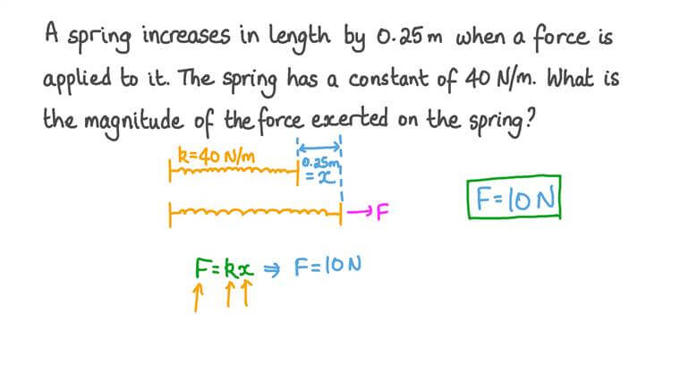 Lesson Playlist | Nagwa
