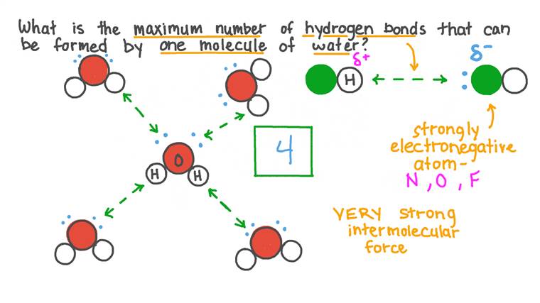 Water Molecules Hydrogen Bonds A Tetrahedral Orientation Of Hydrogen
