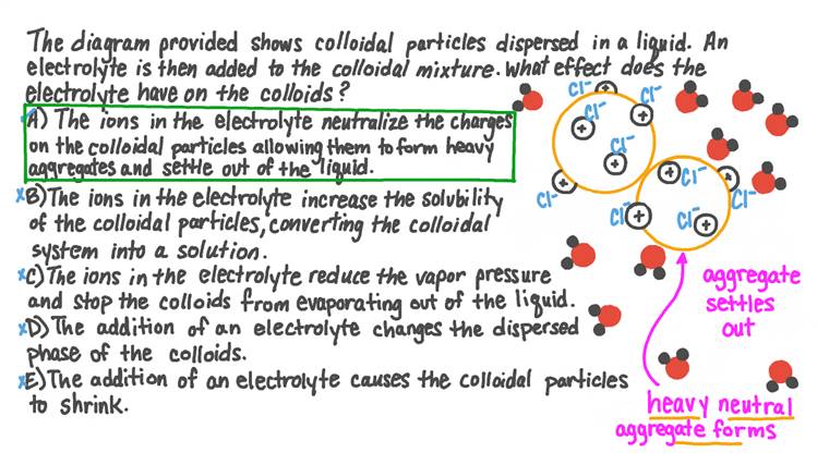 Lesson: Colloids and Suspensions | Nagwa