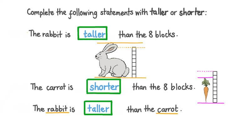 Lesson: Comparing Lengths Indirectly | Nagwa